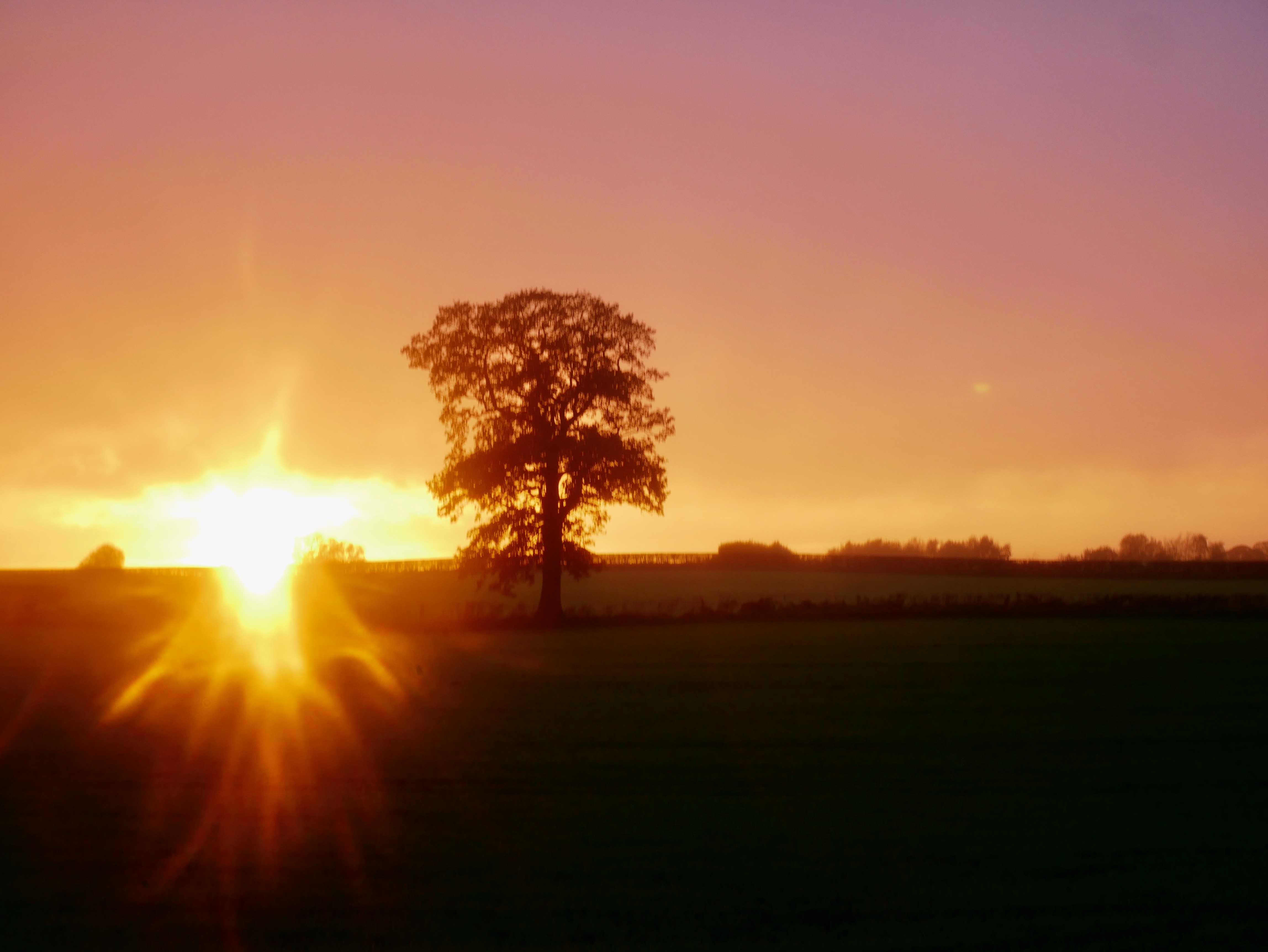 Dane Moss, and a lovely surprise! | Roger's Blog